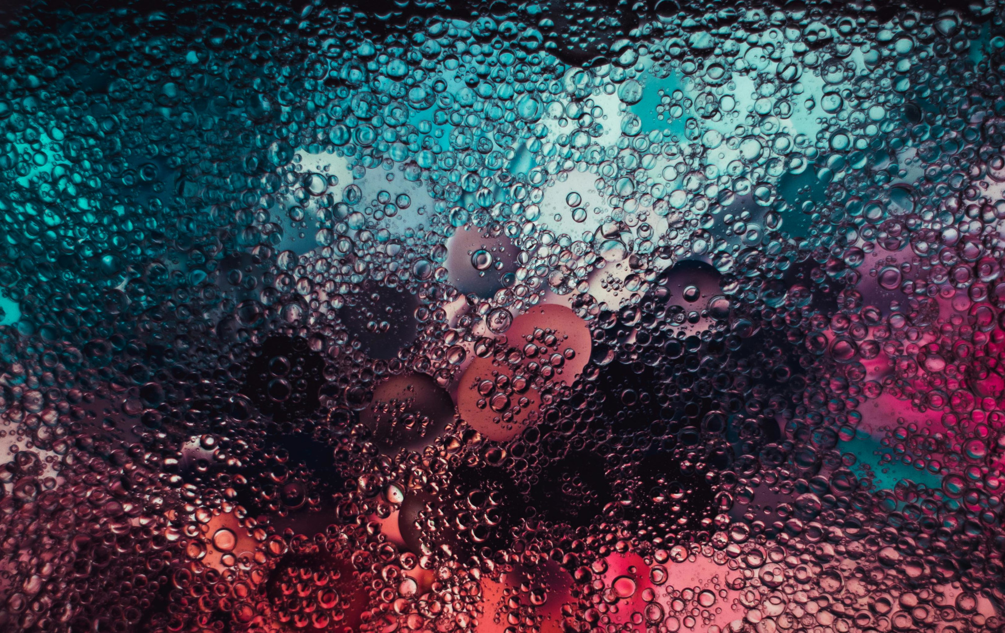 La peur de l’accouchement : une phobie méconnue | Miguel BARREDA ...